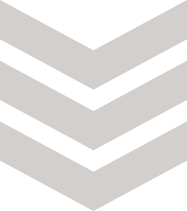 Rookie - Evolve Education